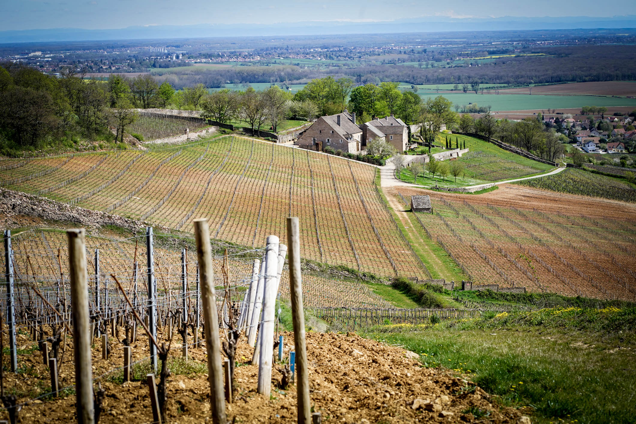 Kermit Lynch Wine Merchant