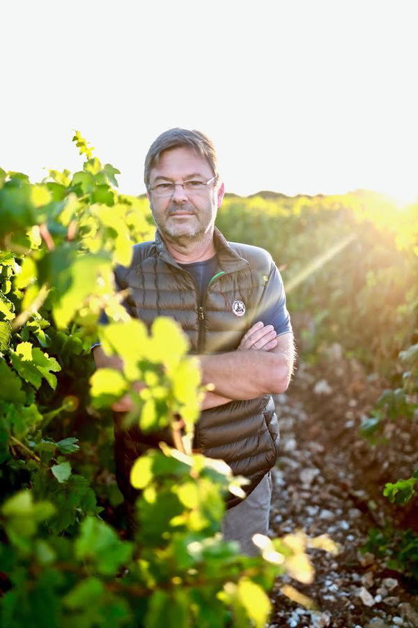 Kermit Lynch Wine Merchant