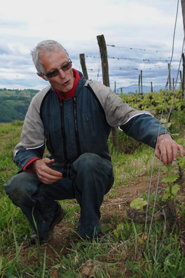 Kermit Lynch Wine Merchant