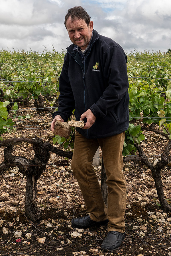 Kermit Lynch Wine Merchant