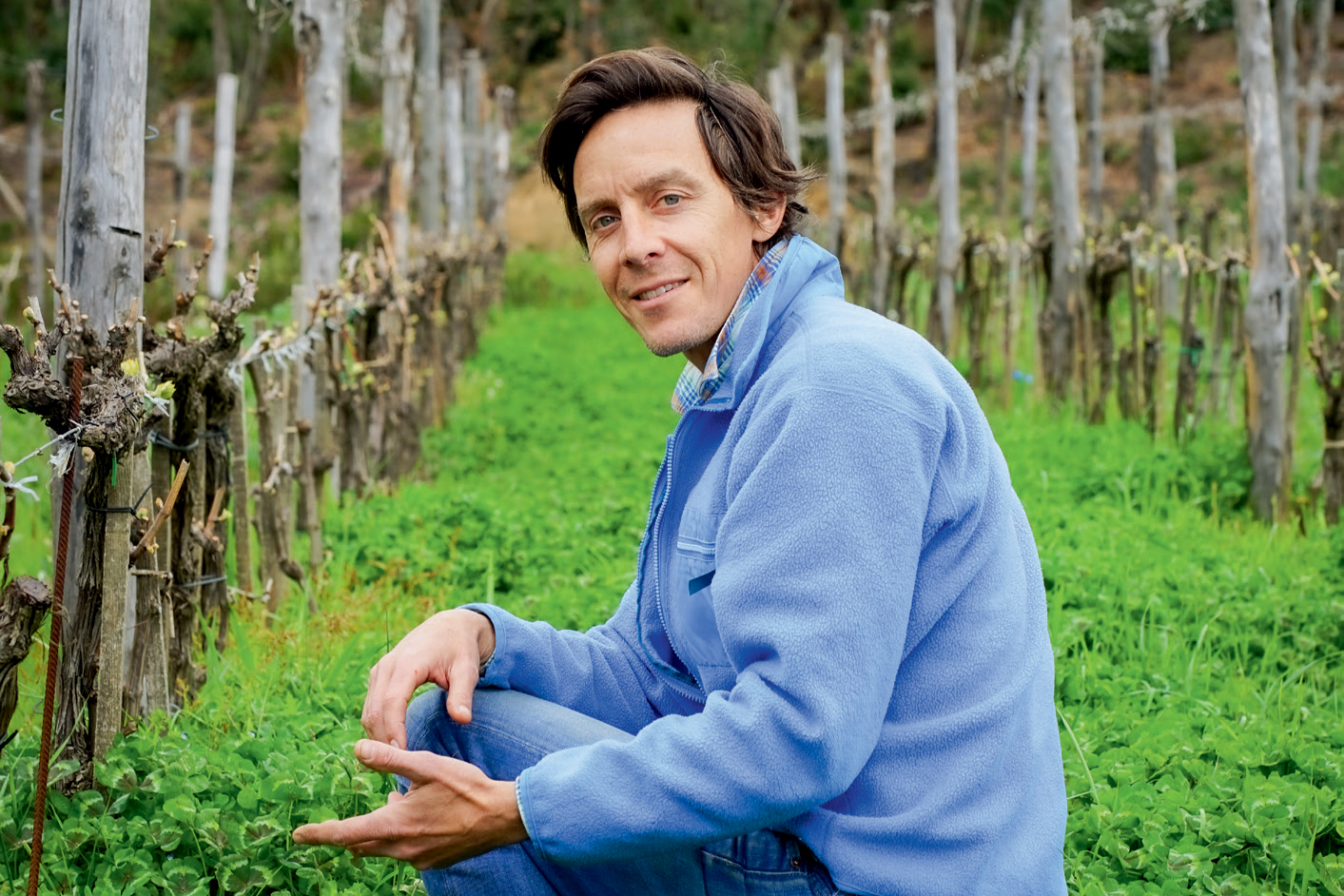 Kermit Lynch Wine Merchant